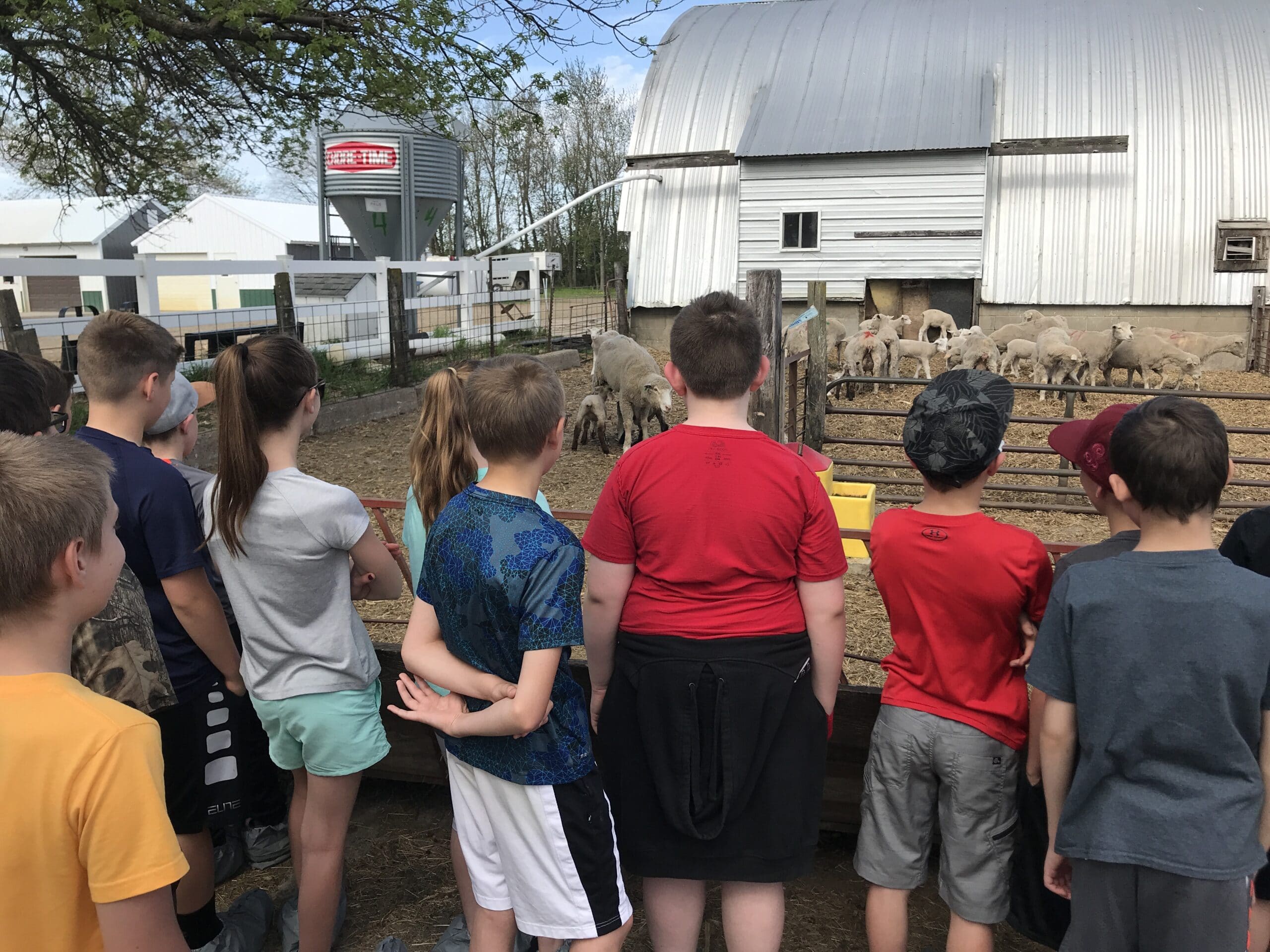 Field Day Coordinators | Farm Camp Minnesota